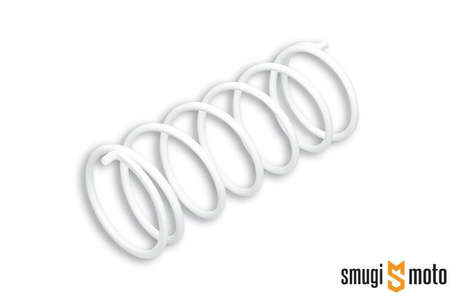 Sprężyna dociskowa Malossi, biała, Suzuki UH Burgman / Epicuro ...